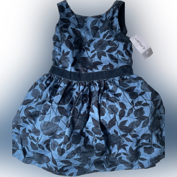 Carter's | Dresses | Nwt Carters Rose Blue Floral Girls Dress 3t Bow ...